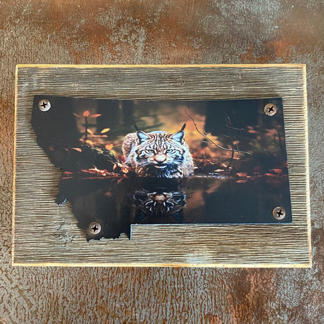 Reflection Bobcat Plaque | Cut-N-Rust